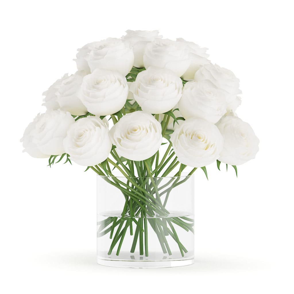 White Roses in Glass Vase