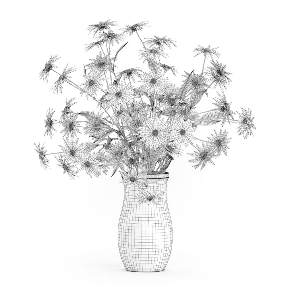 Coneflowers in Ceramic Vase