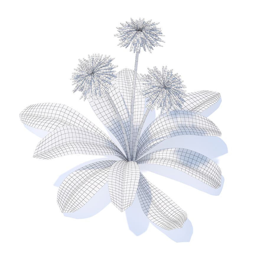 Sow-thistle 3D Model - CGAxis - 3D models, PBR, HDRI for your 3D ...