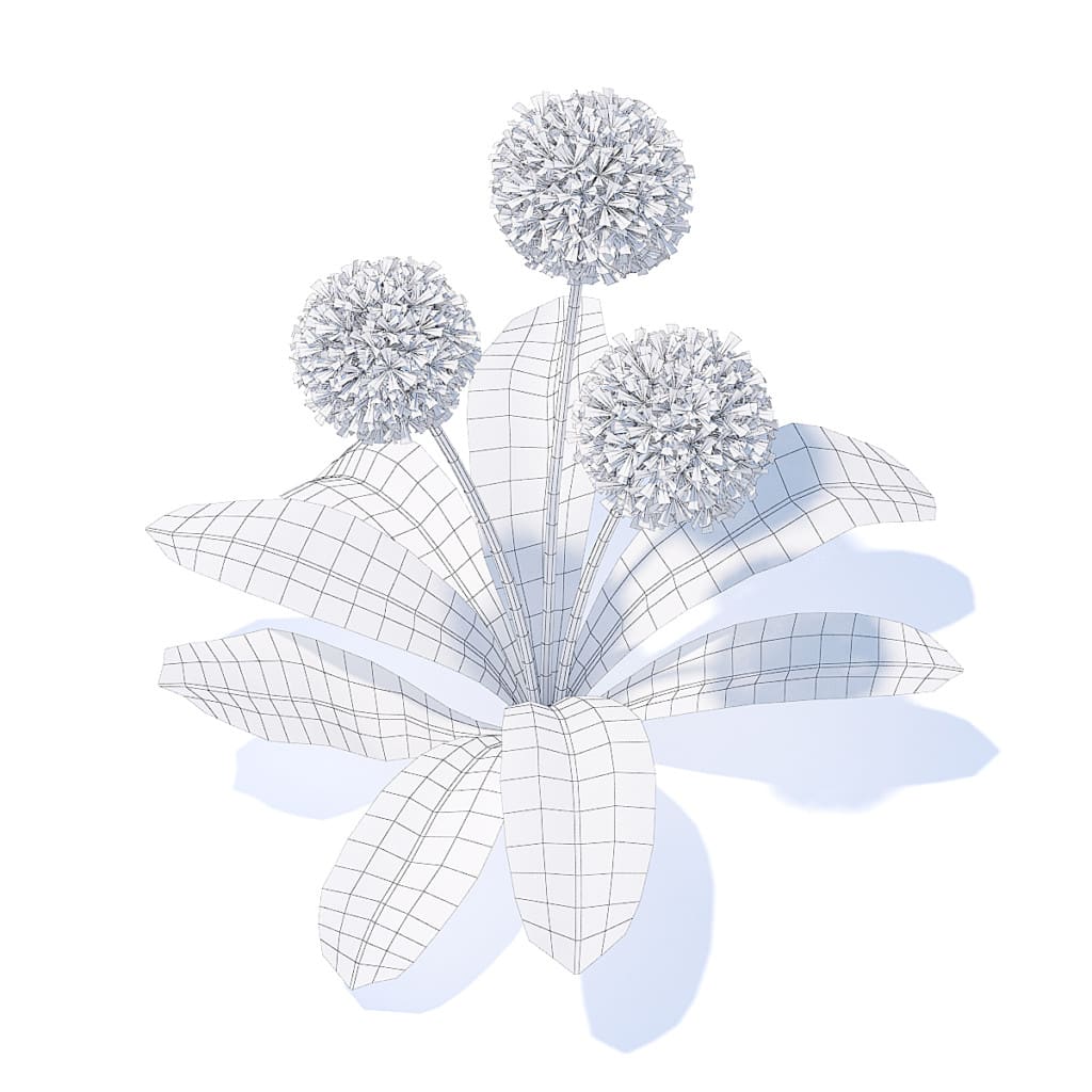 Sow-thistle 3D Model (9131) - CGAxis - 3D models, PBR, HDRI for your 3D ...