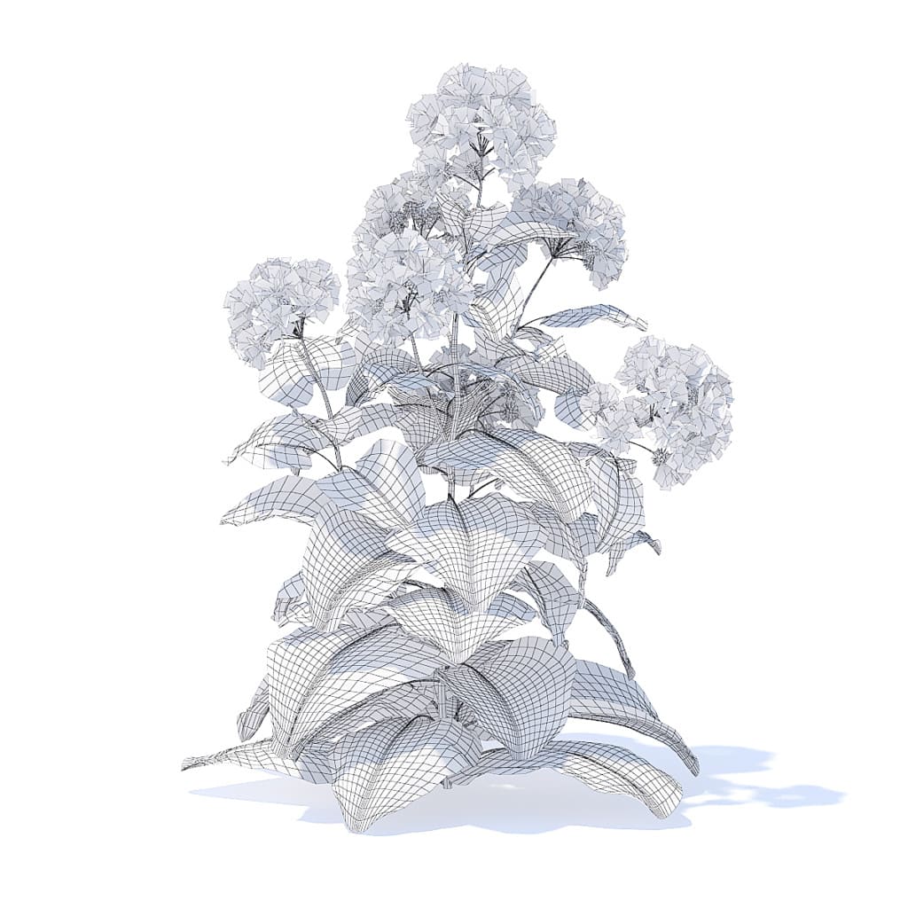 Thistle 3D Model (9139) - CGAxis - 3D models, PBR, HDRI for your 3D ...
