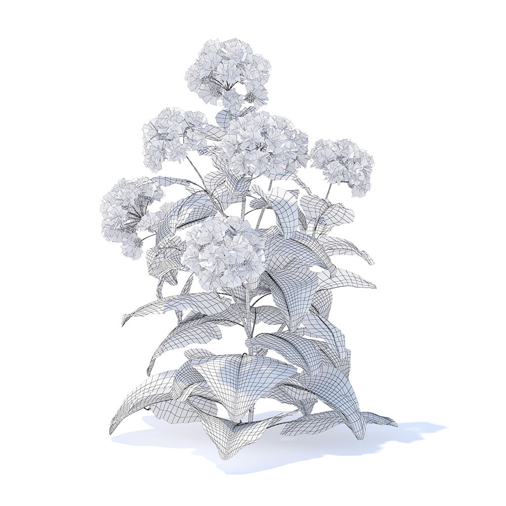 Thistle 3D Model (9139) - CGAxis - 3D models, PBR, HDRI for your 3D ...