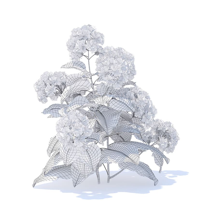 Thistle 3D Model (9140) - CGAxis - 3D models, PBR, HDRI for your 3D ...