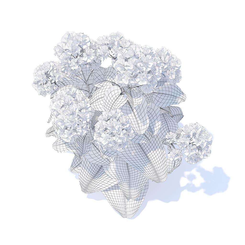 Thistle 3D Model (9140) - CGAxis - 3D models, PBR, HDRI for your 3D ...