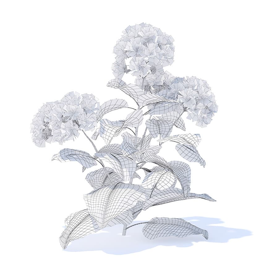 Thistle 3D Model (9141) - CGAxis - 3D models, PBR, HDRI for your 3D ...