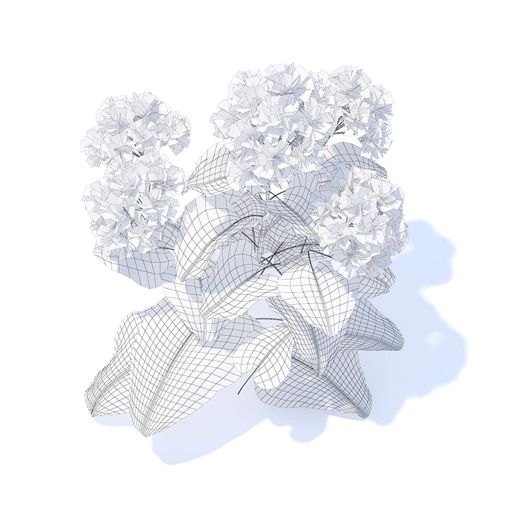 Thistle 3D Model (9141) - CGAxis - 3D models, PBR, HDRI for your 3D ...