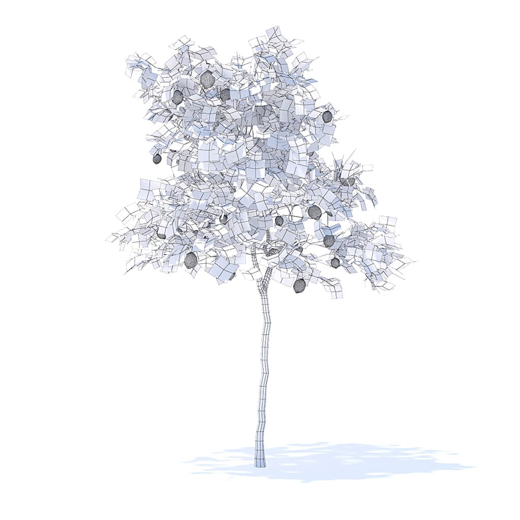 Lemon Tree with Flowers 3D Model 2.4m