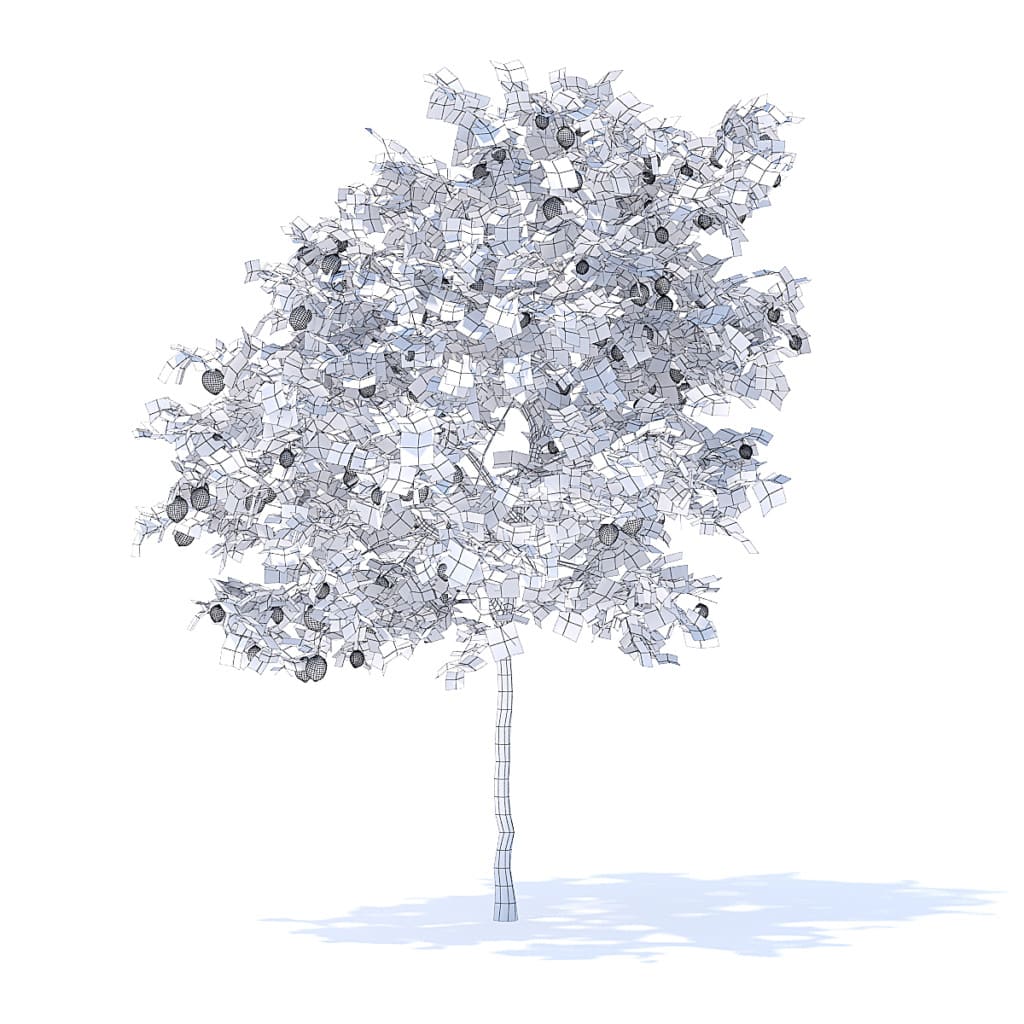 Lemon Tree with Fruits 3D Model 3.1m
