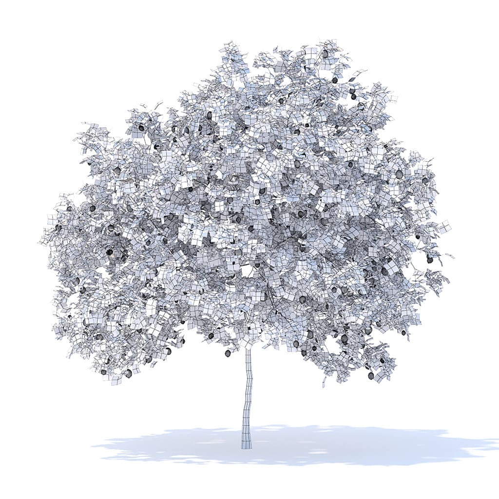 Lemon Tree with Fruits 3D Model 4.4m