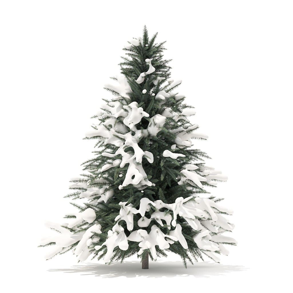 Spruce Tree with Snow 3D Model 1.6m