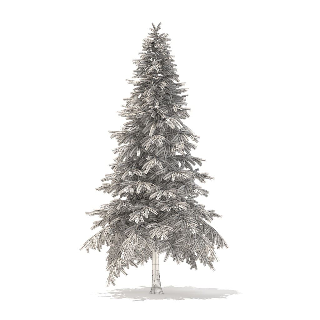 Spruce Tree 3D Model 4.4m