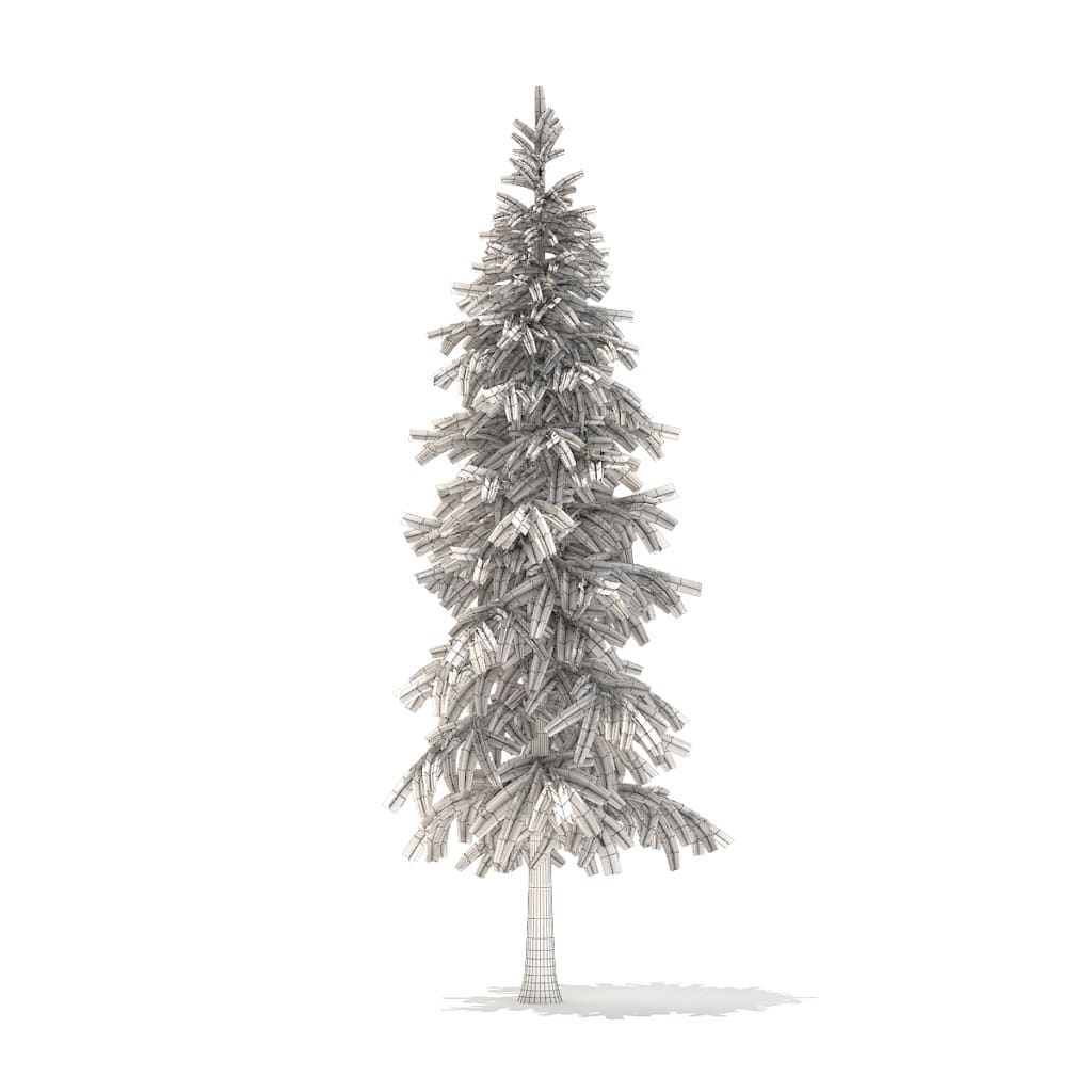 Fir Tree 3D Model 3.4m