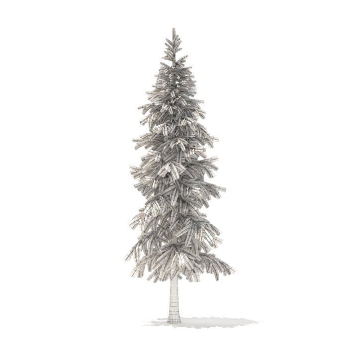 Fir Tree 3D Model 3.4m