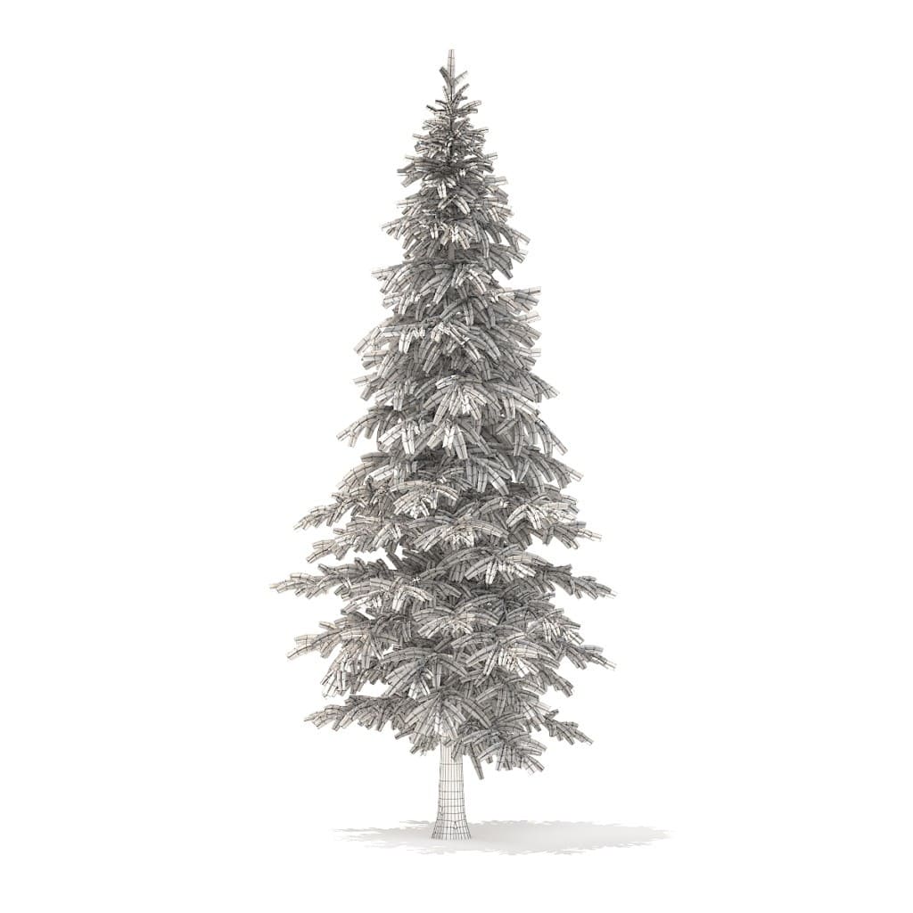 Fir Tree 3D Model 4.5m
