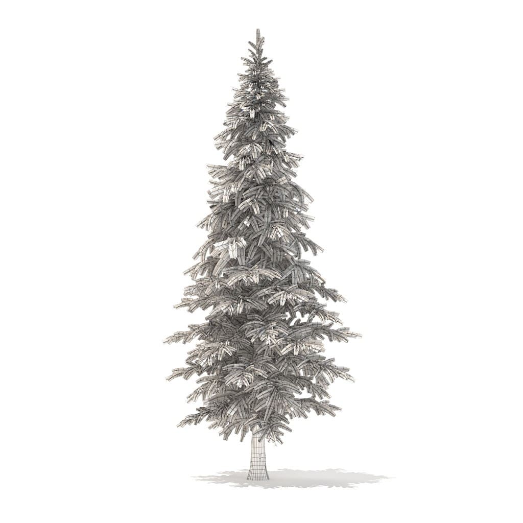 Fir Tree 3D Model 4.5m