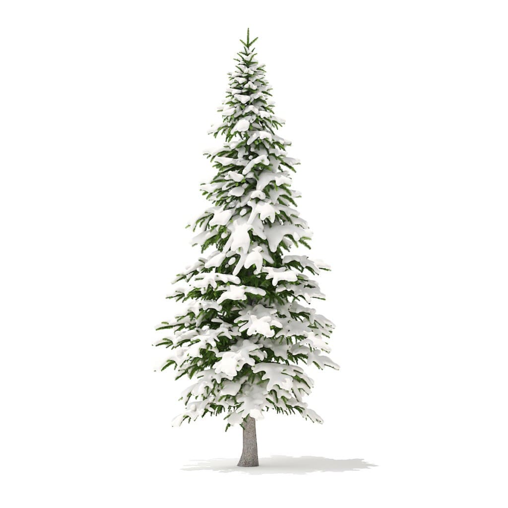 Fir Tree with Snow 3D Model 4.5m