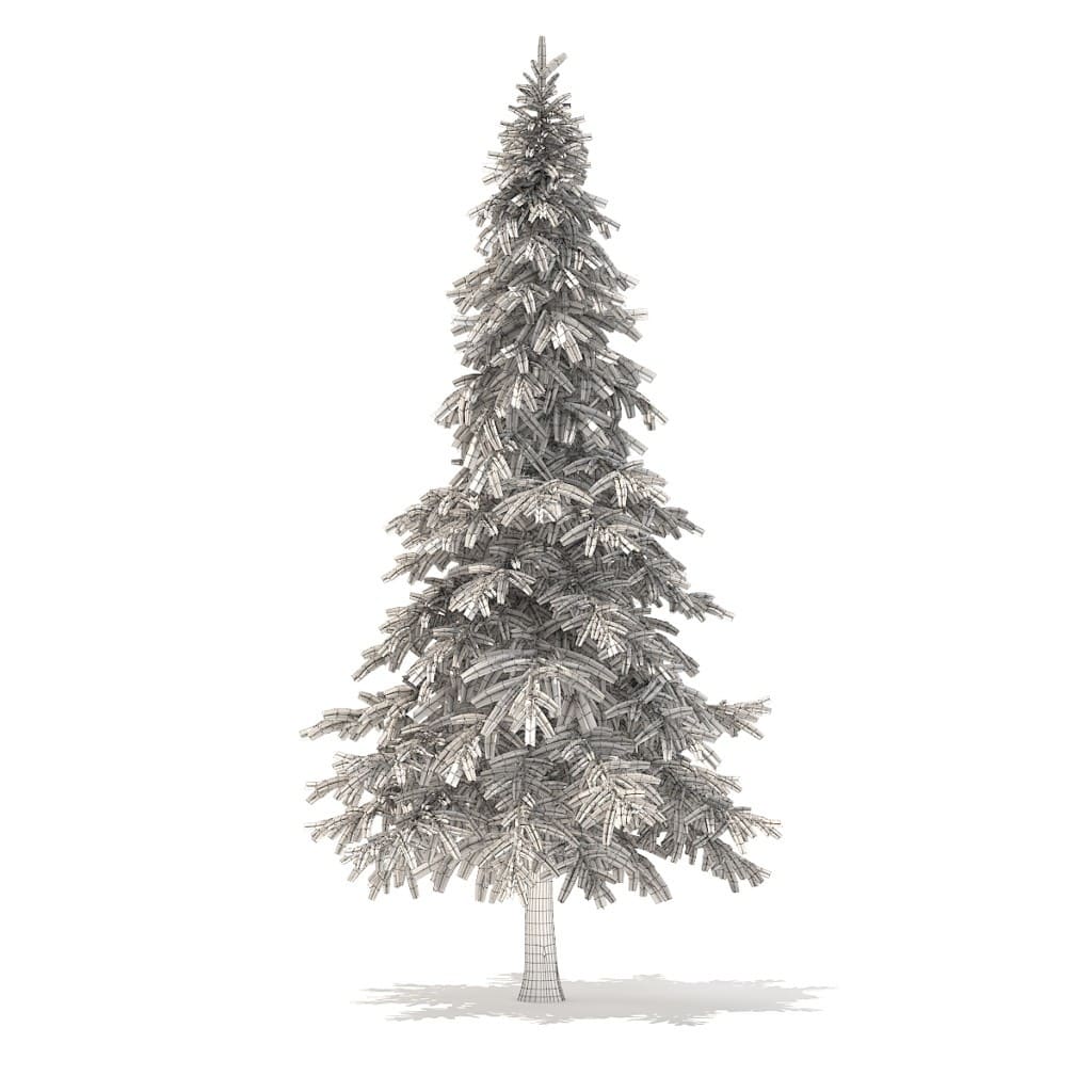 Fir Tree 3D Model 5.9m