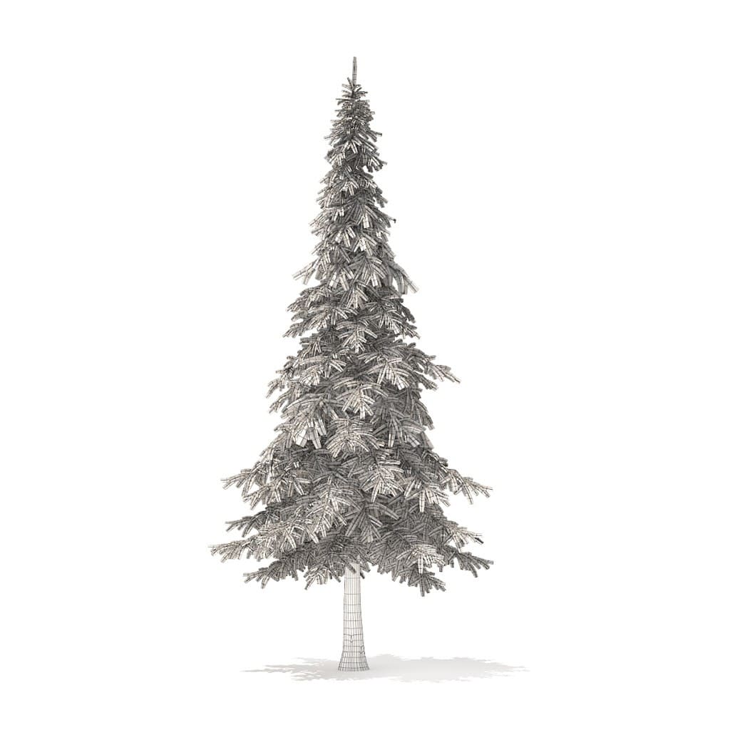 Fir Tree 3D Model 7m