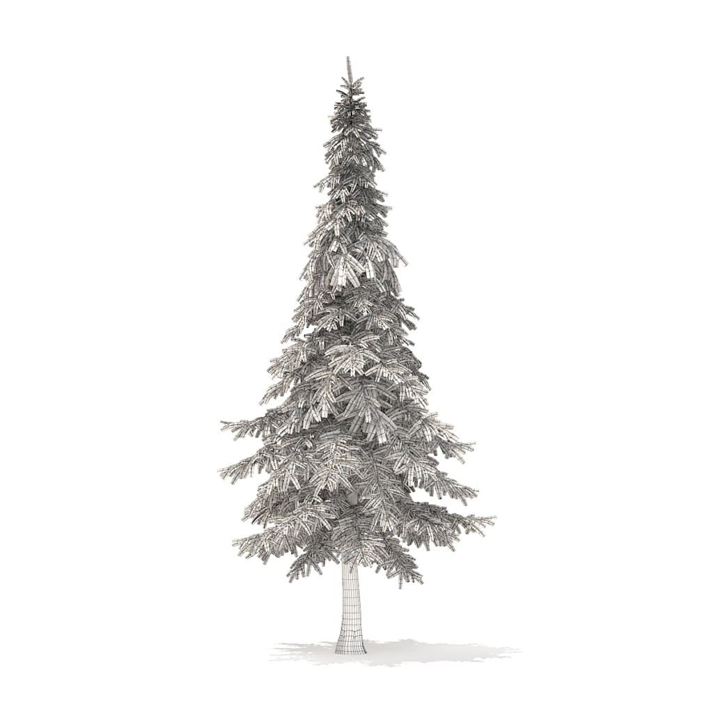Fir Tree 3D Model 7m