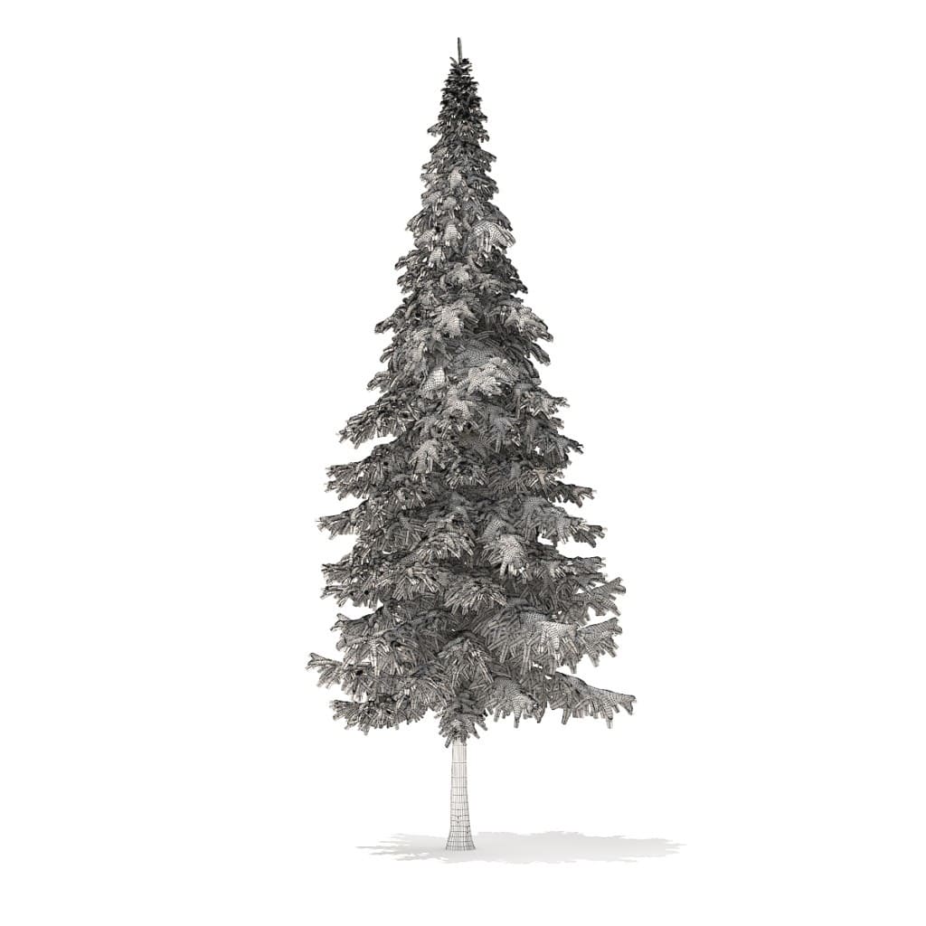Fir Tree with Snow 3D Model 10m