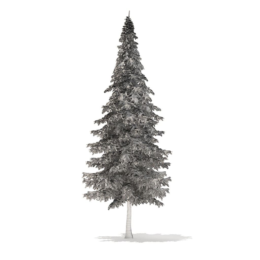 Fir Tree with Snow 3D Model 10m