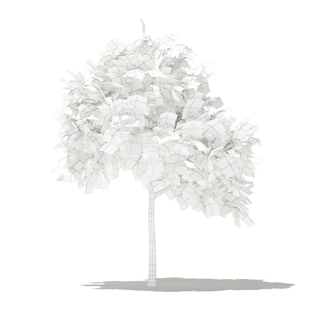 Common Fig Tree 3D Model 1.4m