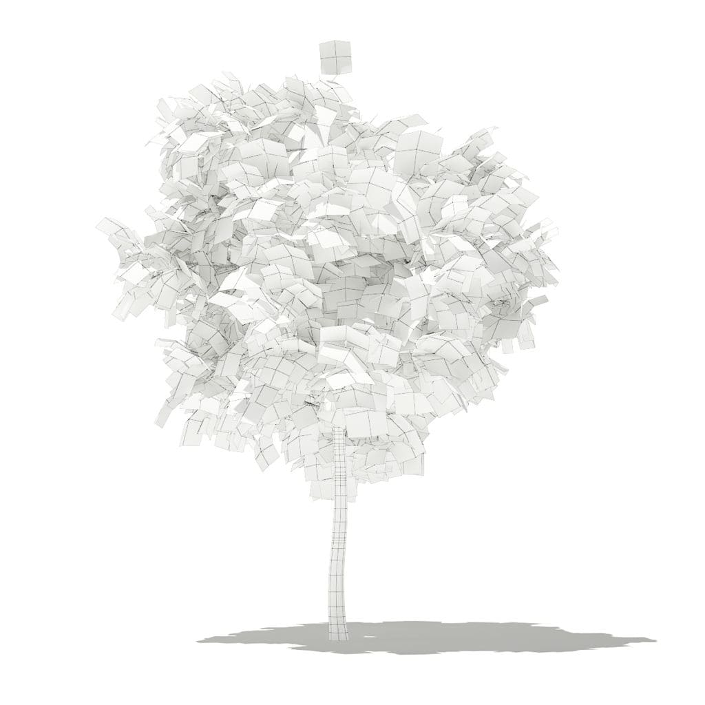 Common Fig Tree 3D Model 1.4m