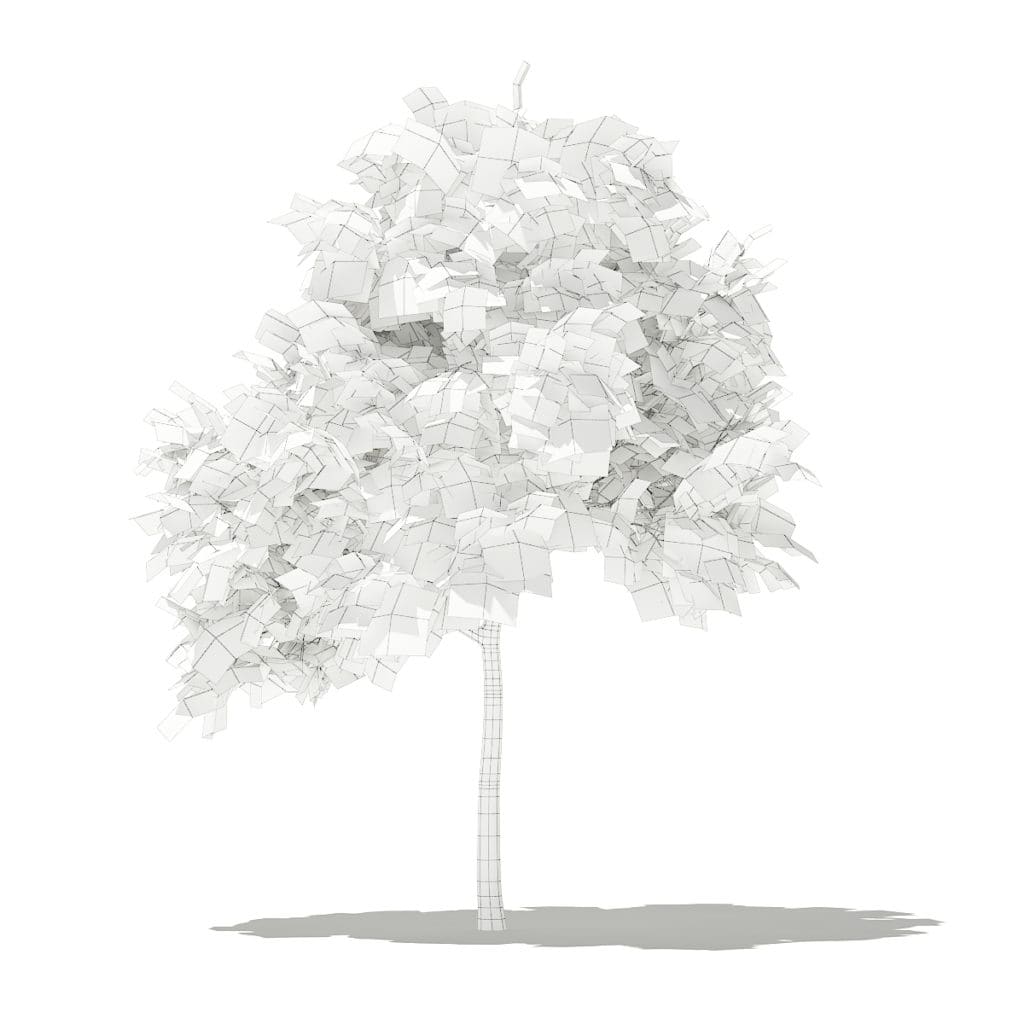 Common Fig Tree 3D Model 1.4m