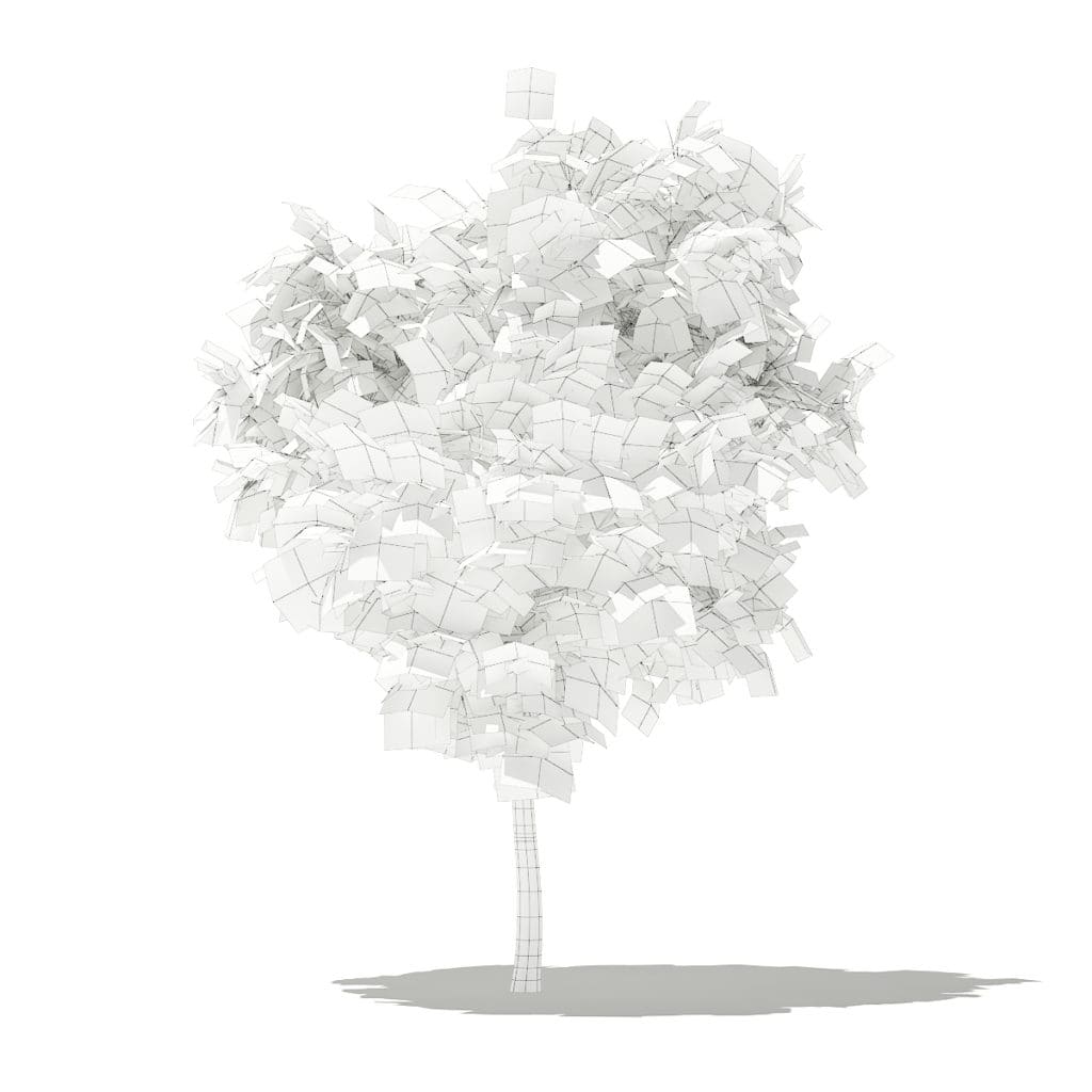 Common Fig Tree 3D Model 1.4m