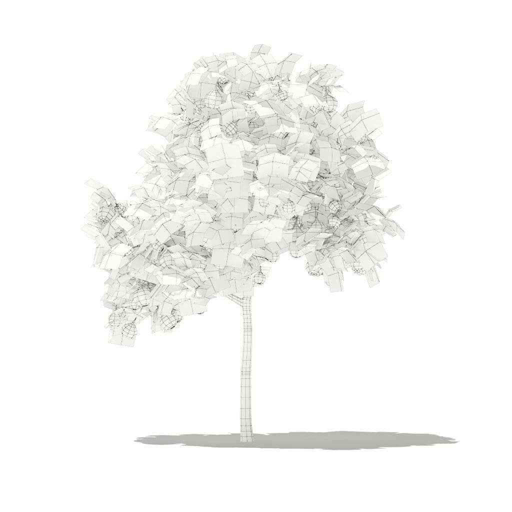 Common Fig Tree with Fruits 3D Model 1.4m