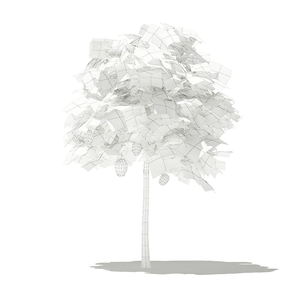 Mango Tree with Fruits 3D Model 1.7m
