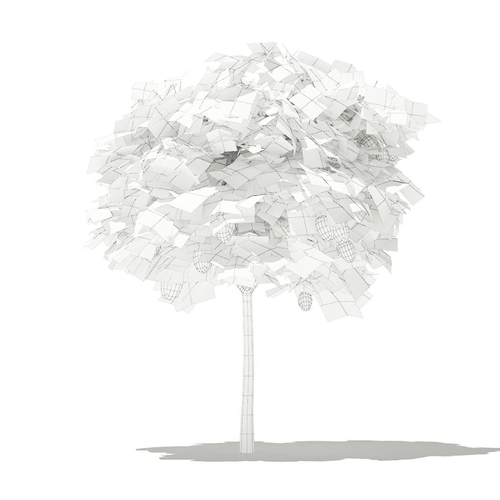 Mango Tree with Fruits 3D Model 1.7m