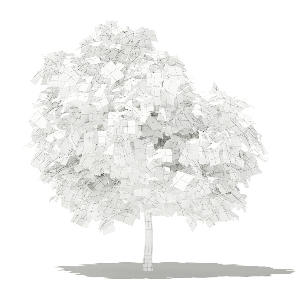 Mango Tree 3D Model 2.6m