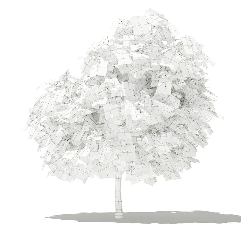 Mango Tree 3D Model 2.6m