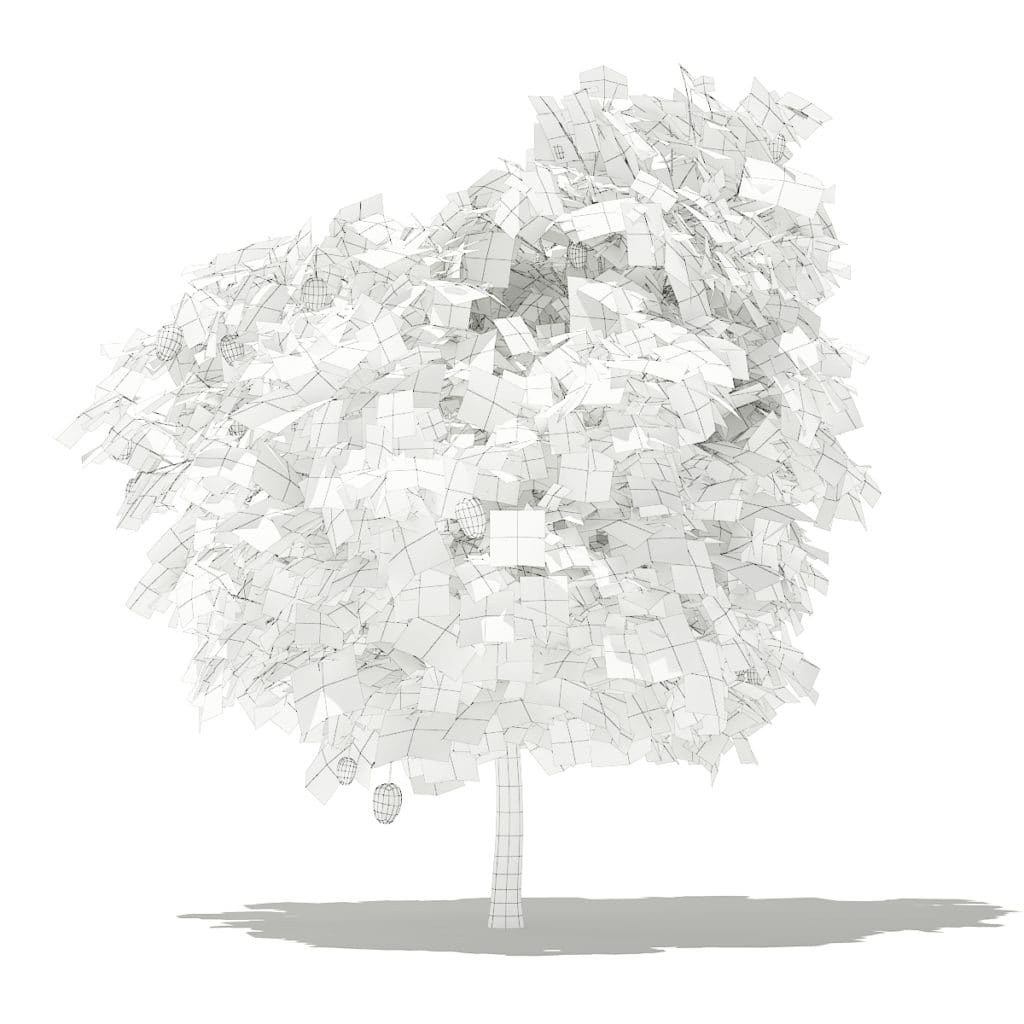 Mango Tree with Fruits 3D Model 2.6m