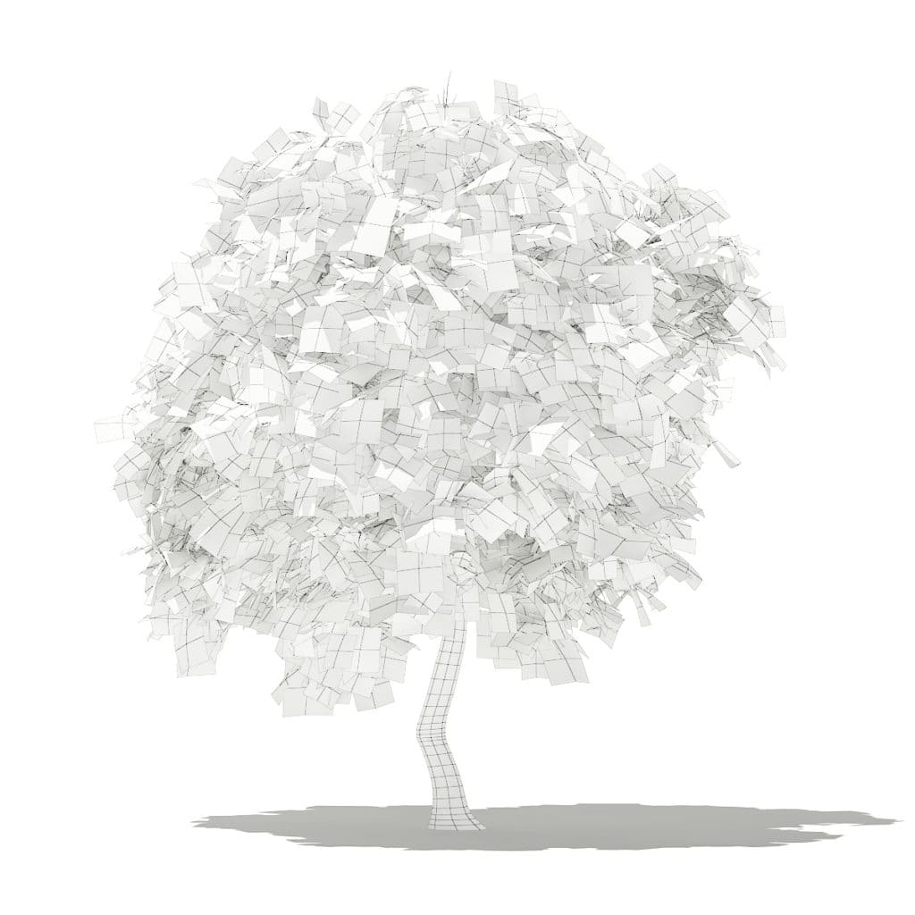 Mango Tree 3D Model 2.7m