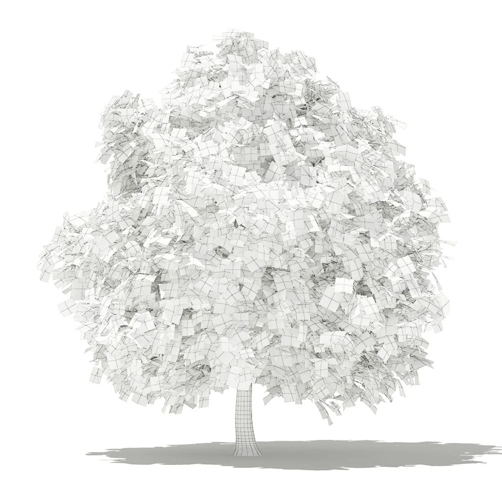 Mango Tree 3D Model 4m