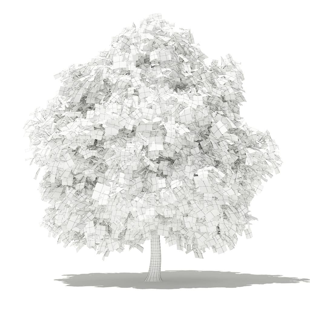 Mango Tree 3D Model 4m