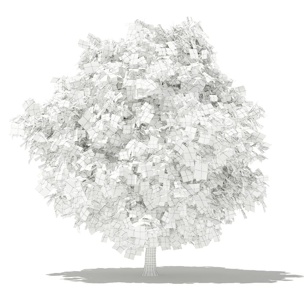 Mango Tree 3D Model 4m