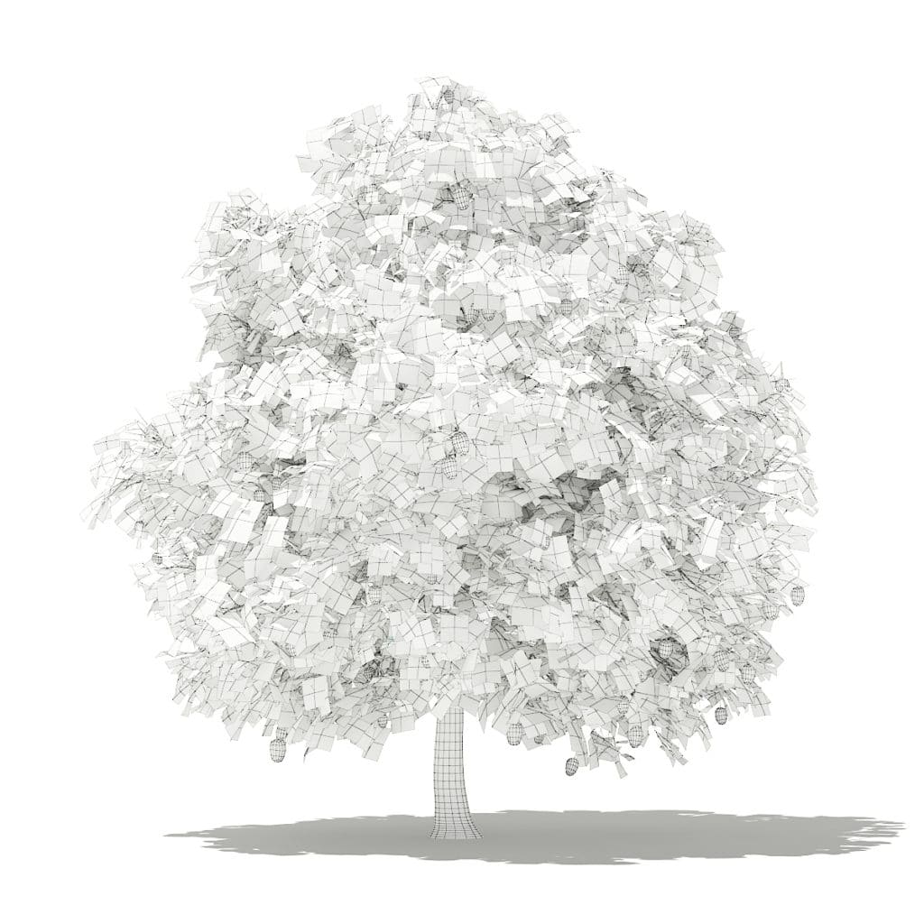 Mango Tree with Fruits 3D Model 4m