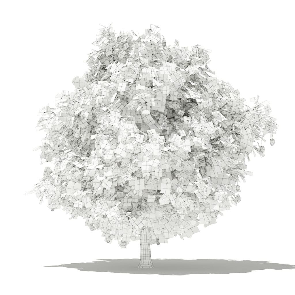 Mango Tree with Fruits 3D Model 4m