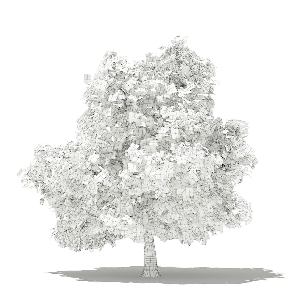 Mango Tree with Fruits 3D Model 4.8m