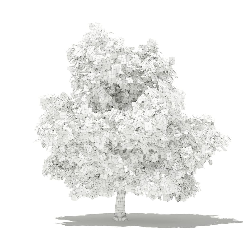 Mango Tree with Fruits 3D Model 4.8m