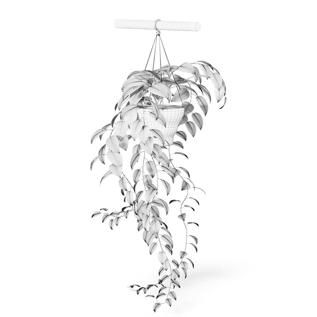 Hanging Plant 3D Model