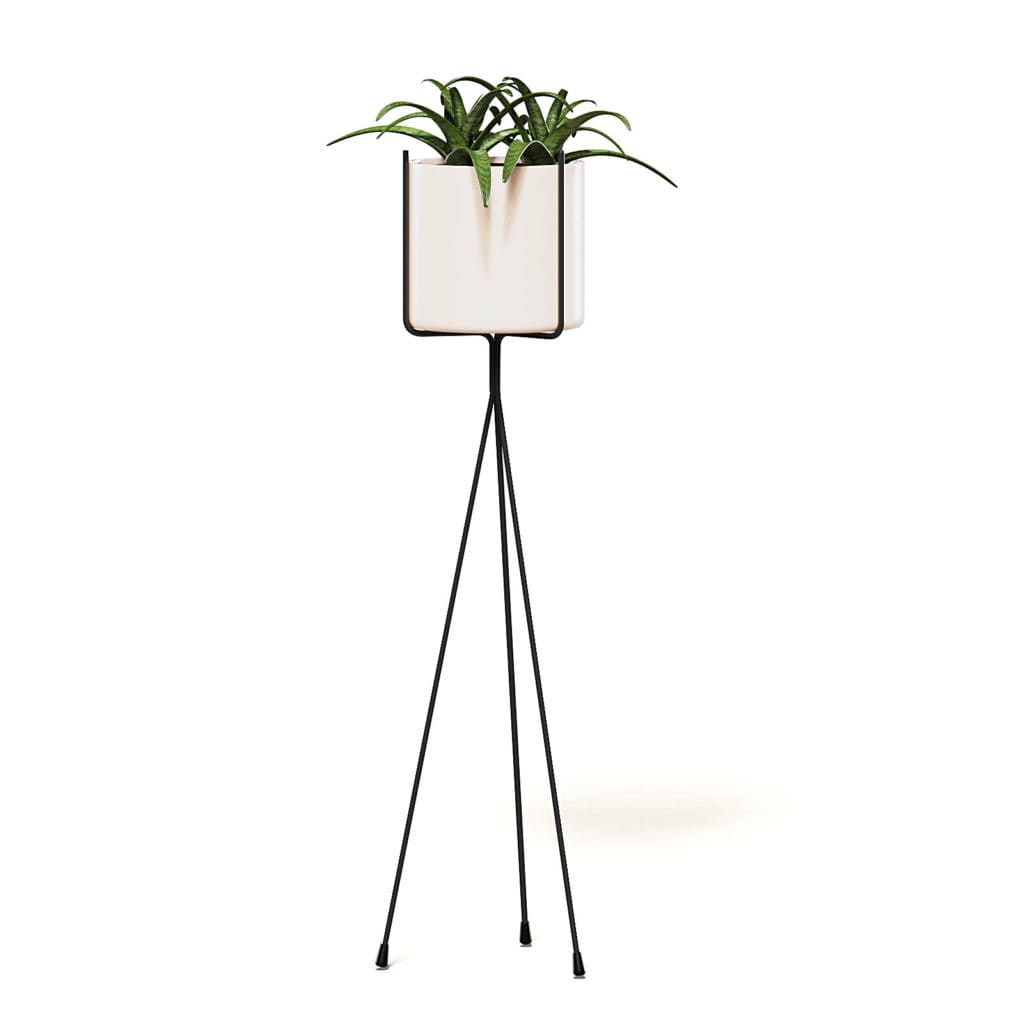 Plant on Tall Rack 3D Model