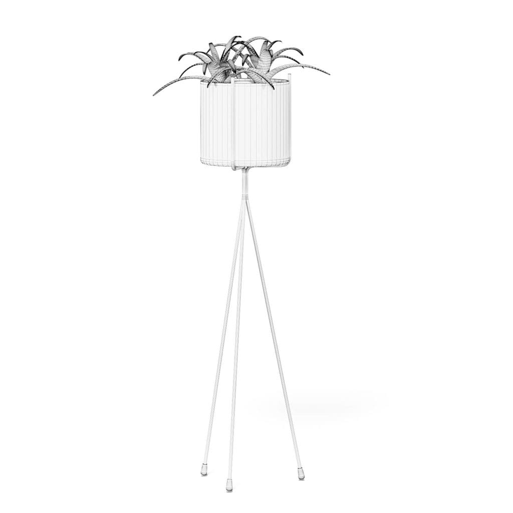 Plant on Tall Rack 3D Model