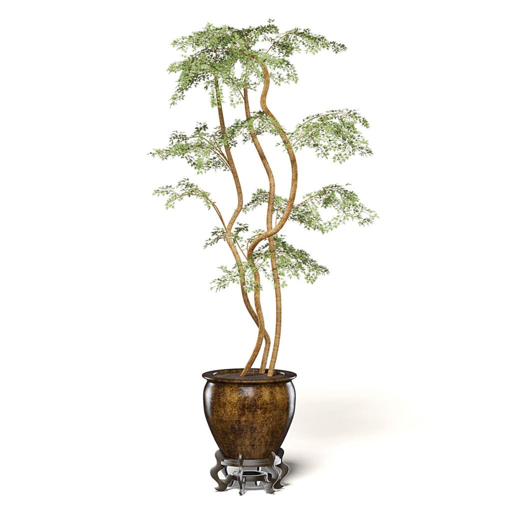 Tree in Metal Pot 3D Model