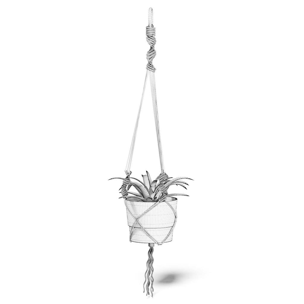 Plant in White Hanging Pot 3D Model