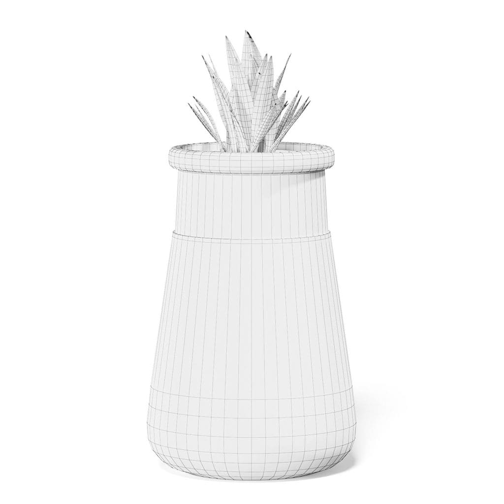 Plant 3D Model in Large Modern Pot
