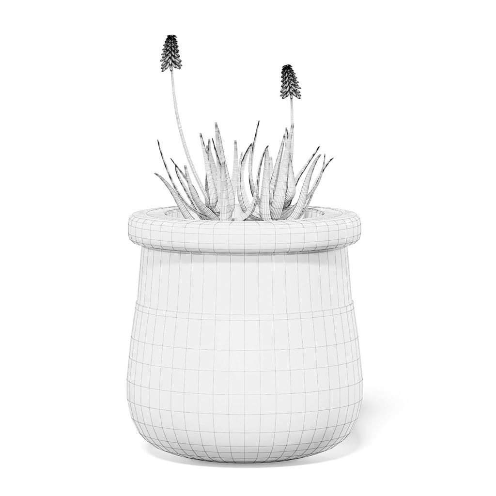 Flowers 3D Model in Large Modern Pot